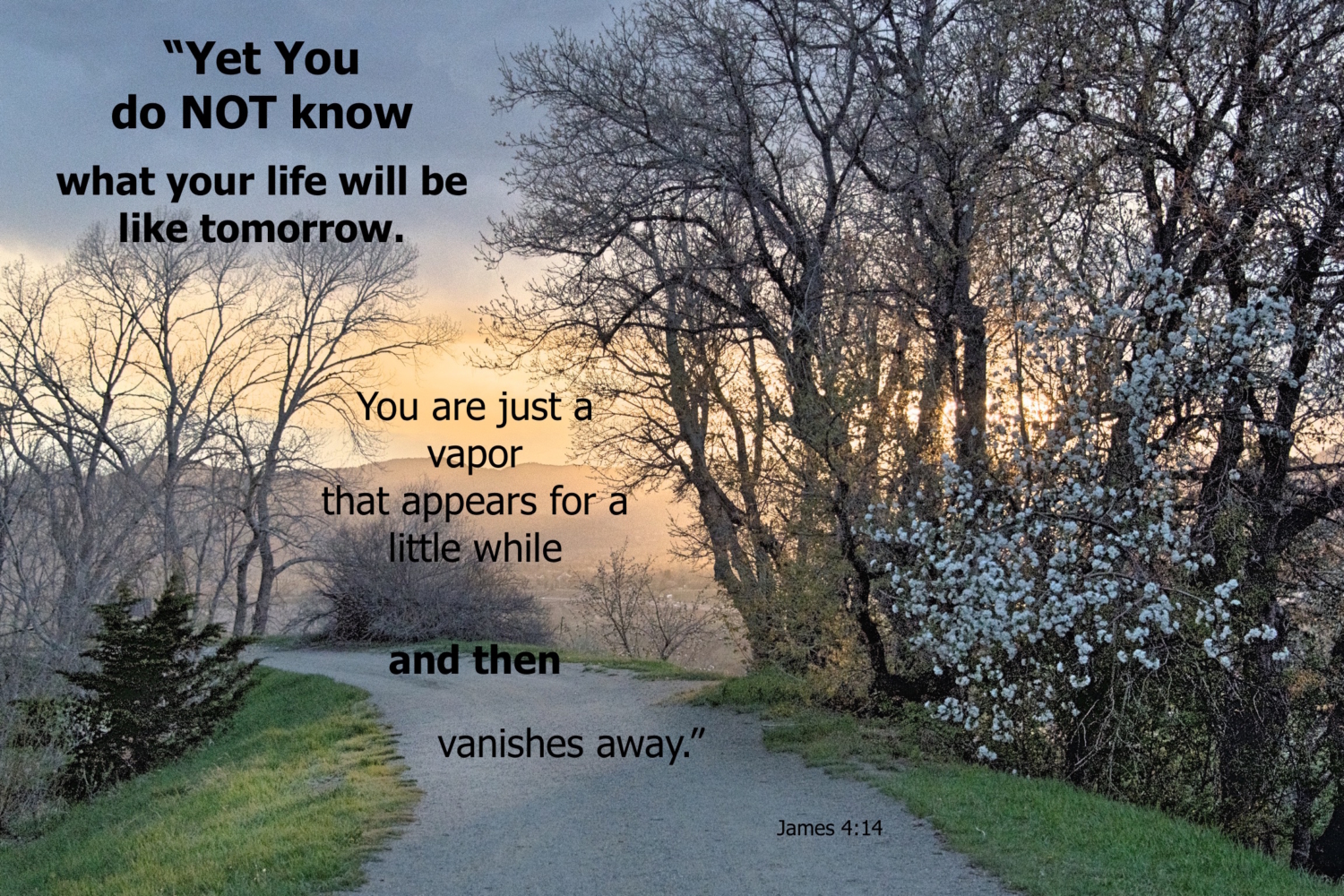 James 4 13 17 True Faith Seeks God s Will Part 1 GODcha